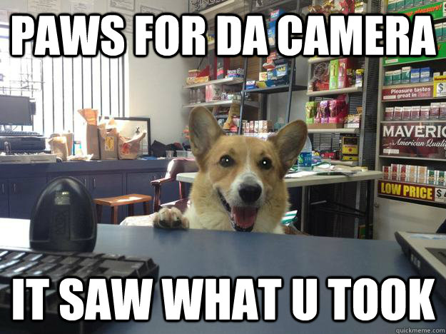 paws for da camera it saw what u took - Convenience Corgi - quickmeme