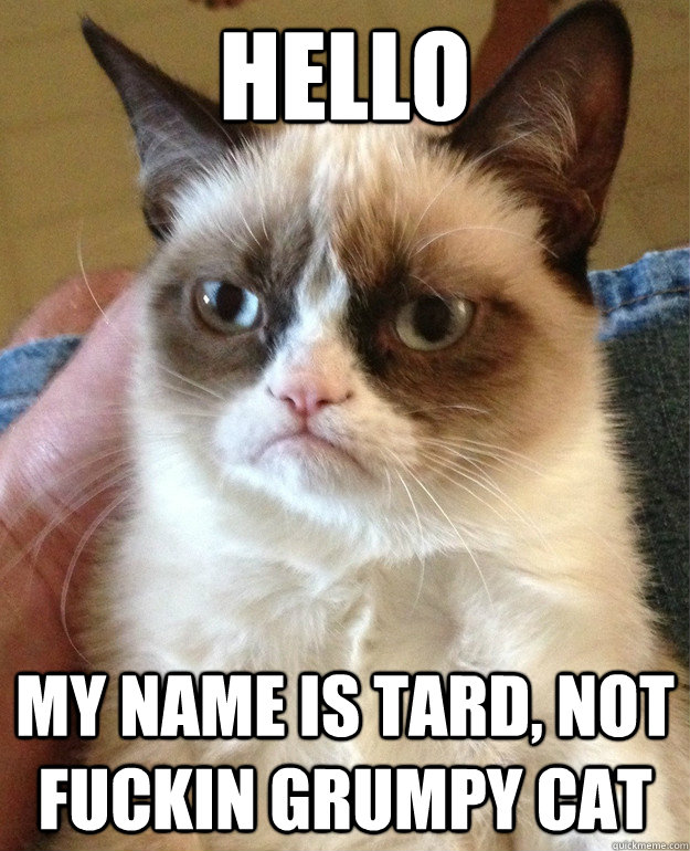 Hello My name is tard, not fuckin grumpy cat - Misc - quickmeme