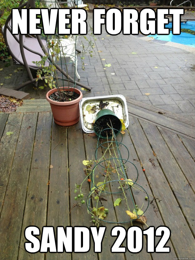 never forget sandy 2012 - Brutal Storm Aftermath - quickmeme