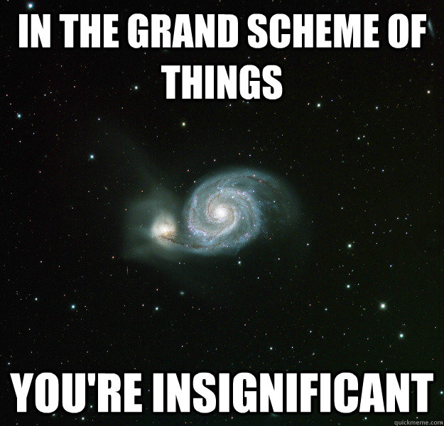 In the grand scheme of things You're insignificant - The Grand Scheme - quickmeme