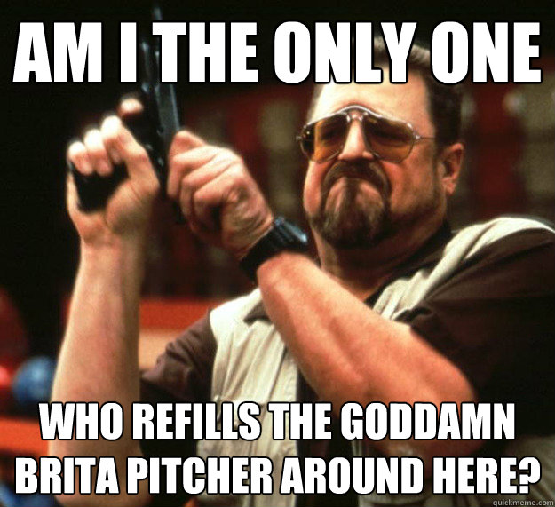 Am I THE ONLY ONE Who refills the goddamn brita pitcher around here? - Sad Walter - quickmeme