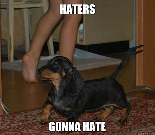 haters gonna hate - Dog-haters - quickmeme