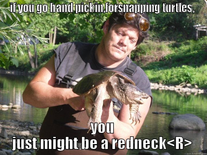 big roy says - quickmeme