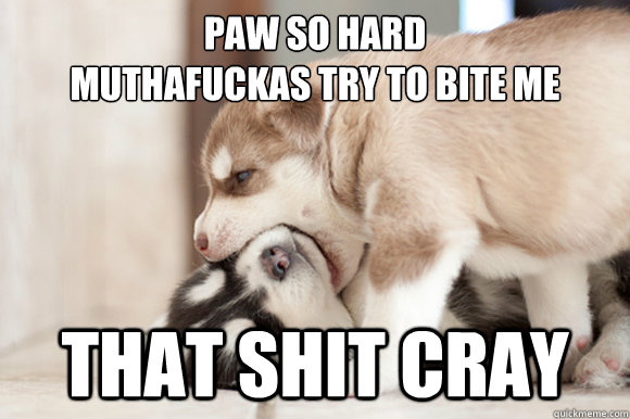Paw so hard muthafuckas try to bite me that shit cray - Misc - quickmeme