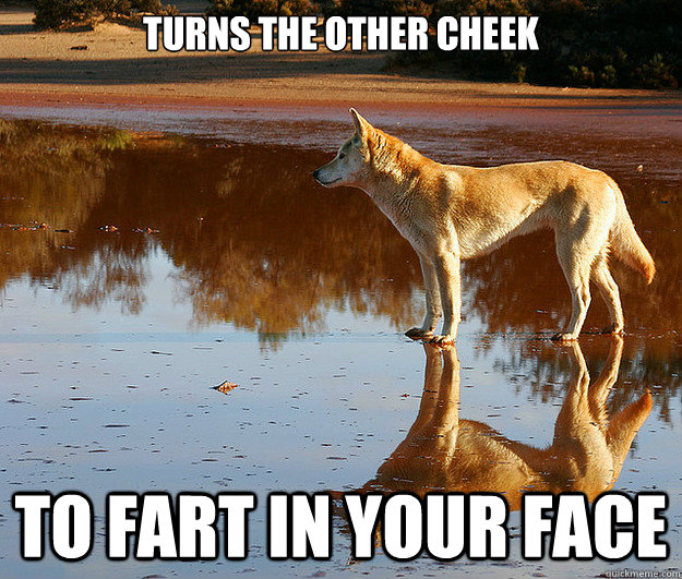 Dickhead Divine Dingo memes | quickmeme