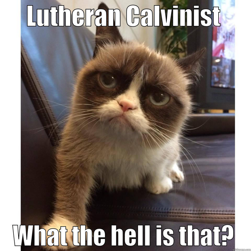 Grumpy Cat Lutheran Calvinist - quickmeme