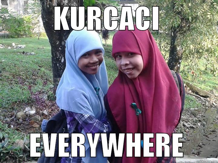 KURCACI PICTURE - quickmeme