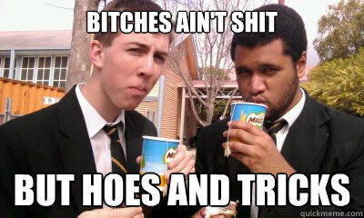 Bitches ain't shit But hoes and tricks - Tea drinking lads - quickmeme