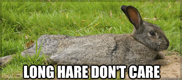 Long hare don't care - Misc - quickmeme