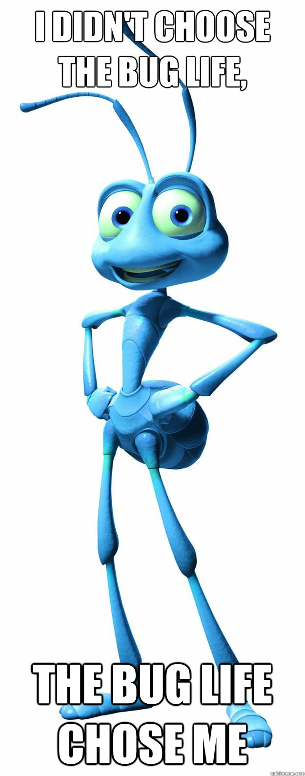 I didn't choose the bug life, The bug life chose me - Flik - quickmeme