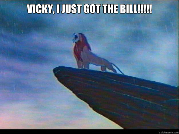 Vicky, I just got the bill!!!!! - Lion King Fuuuu - quickmeme