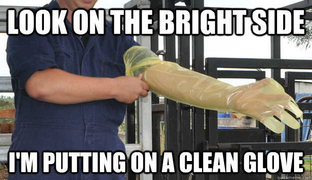 look on the bright side i'm putting on a clean glove - Elbow-Deep Dave - quickmeme