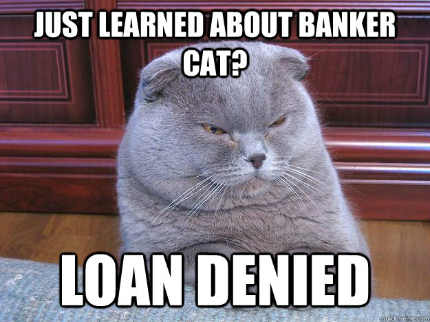 Just learned about banker cat? LOAN DENIED - Misc - quickmeme