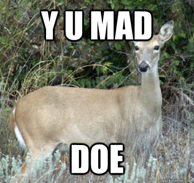 Y U MAD DOE - Y U MAD DOE - quickmeme