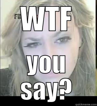 Goosezilla WTF - quickmeme