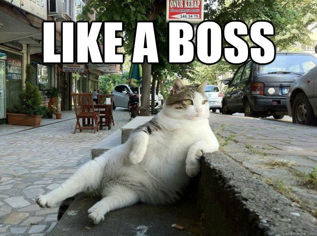 LIKE A BOSS - Misc - quickmeme