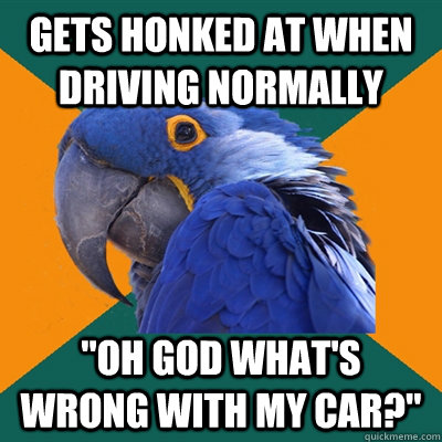 gets honked at when driving normally "oh god what's wrong with my car?" - Paranoid Parrot ...