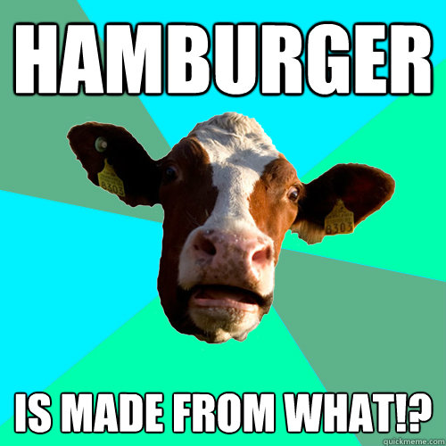 Catatonic Cow memes | quickmeme