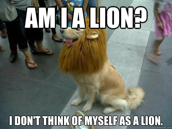 Am i a lion? i don't think of myself as a lion. - Are you Alliance - quickmeme