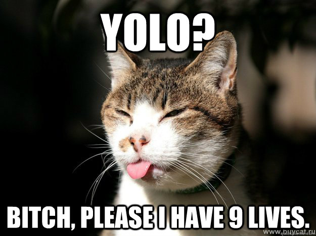 YOLO? YOLNT. - Yolo Cat - quickmeme