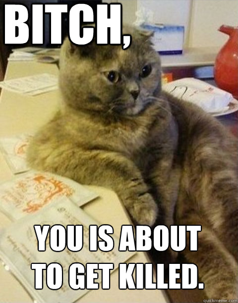 You is about to get killed. BITCH, - Scary movie cat - quickmeme