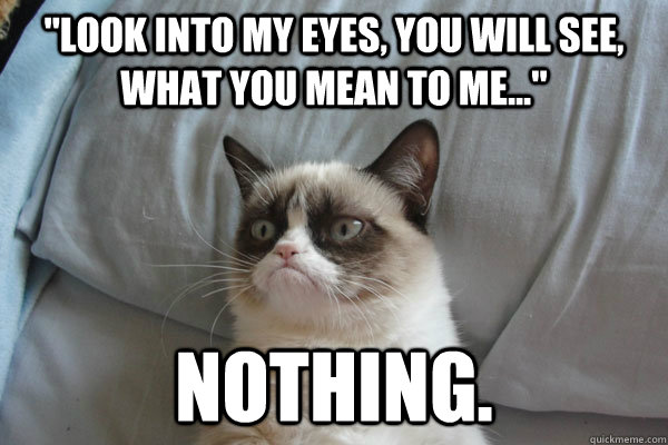 "Look into my eyes, you will see, what you mean to me..." Nothing. - Misc - quickmeme