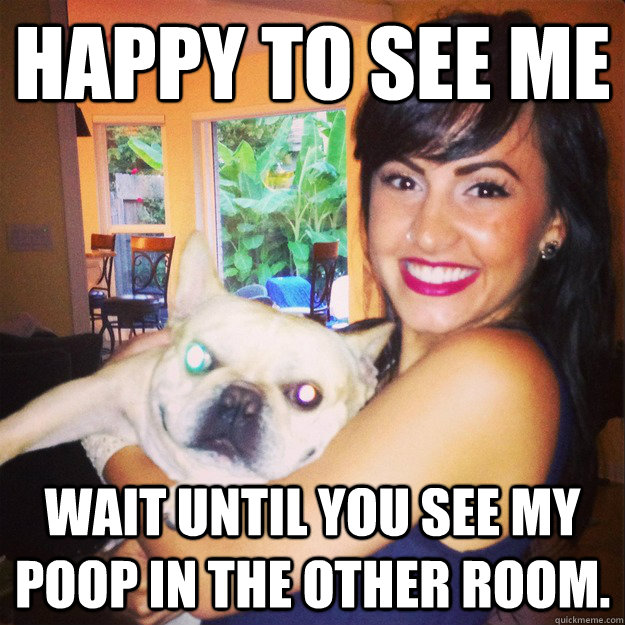 Mischievous Dog memes | quickmeme