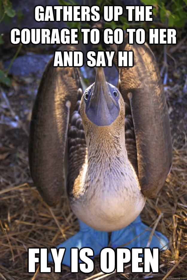 Gathers up the courage to go to her and say hi fly is open - Misc - quickmeme