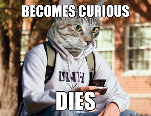 Becomes curious Dies - Freshman Cat - quickmeme