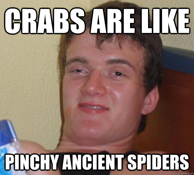 crabs are like pinchy ancient spiders - Misc - quickmeme