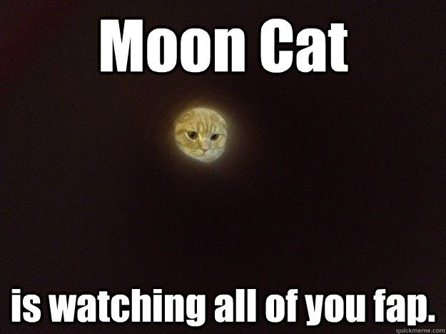 Moon Cat is watching all of you fap. - Misc - quickmeme