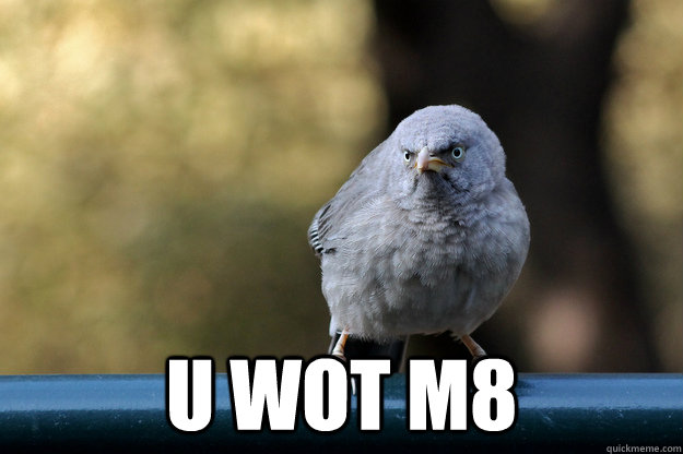 U WOT M8 - Misc - quickmeme