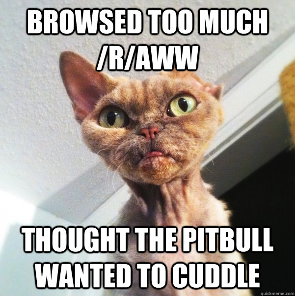 browsed too much /r/aww Thought the pitbull wanted to cuddle - Misc - quickmeme