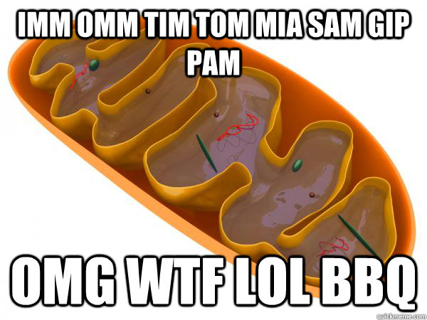 IMM OMM TIM TOM MIA SAM GIP PAM OMG WTF LOL BBQ - Scumbag Mitochondria - quickmeme