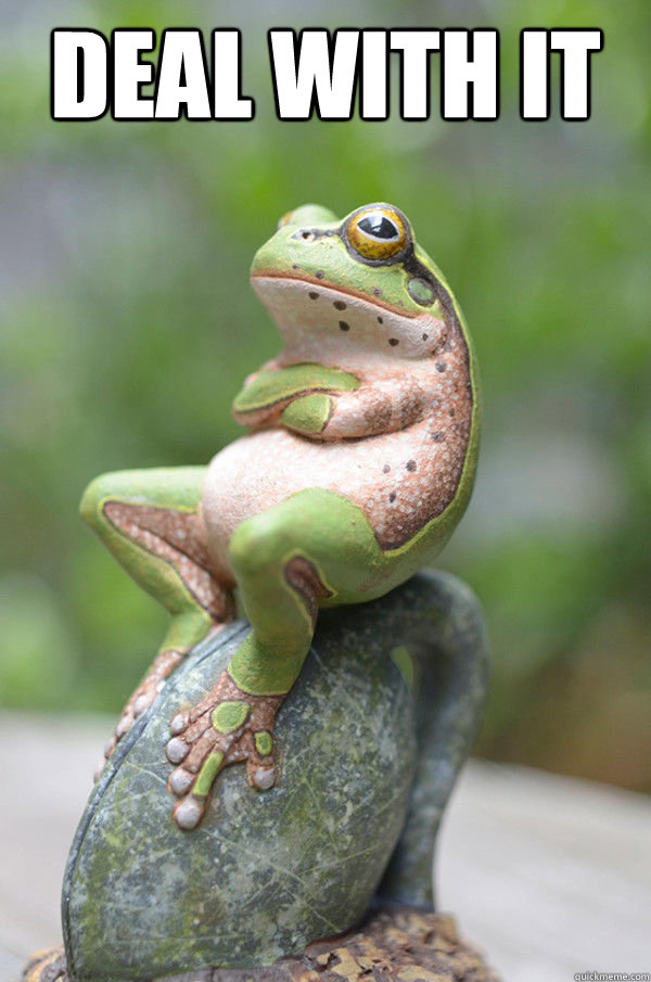 deal with it - Misc - quickmeme