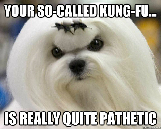 Your so-called kung-fu... is really quite pathetic - Pai Mei Dog - quickmeme