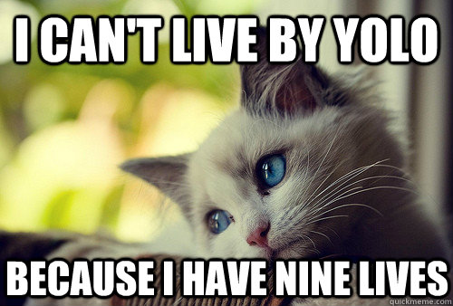 I can't live by YOLO because I have nine lives - First World Cat Problems - quickmeme
