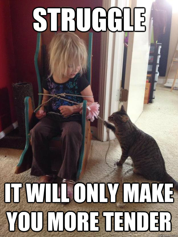 struggle It will only make you more tender - Cat Captor - quickmeme