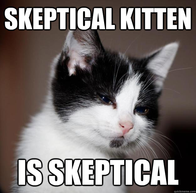 Skeptical Kitten is skeptical - skeptikitten - quickmeme