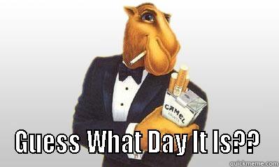 Joe "Hump Day" Camel - quickmeme