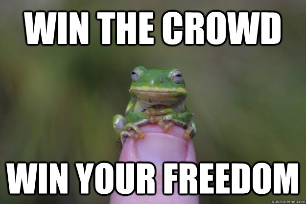 Wisdom Frog memes | quickmeme