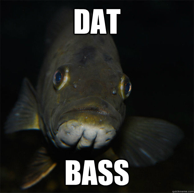 Dat bass - Misc - quickmeme