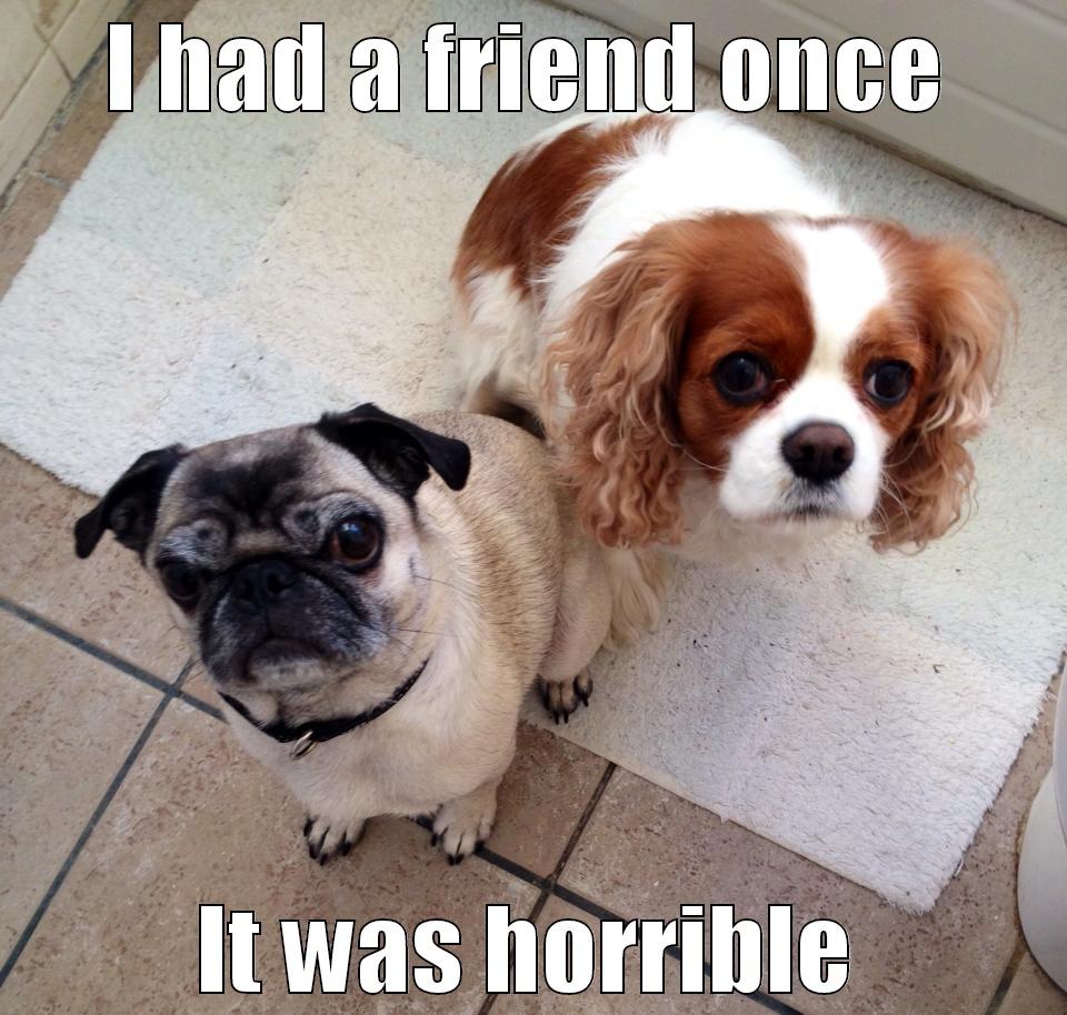 Grumpy Pug 2 - quickmeme