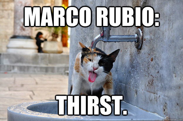 Marco Rubio: thirst. - Marco Rubio Cat - quickmeme