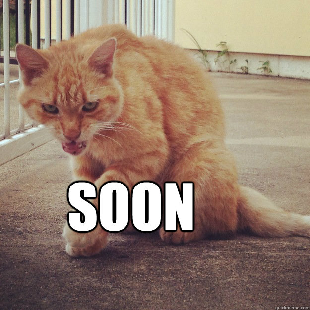 soon - Misc - quickmeme