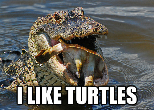 RAWR! im a dinosaur LOL jk im a turtle - Misc - quickmeme