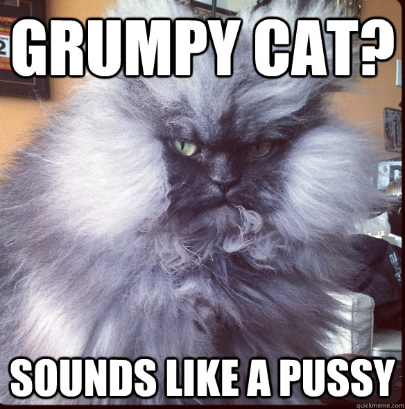 Grumpy cat? sounds like a pussy - Misc - quickmeme