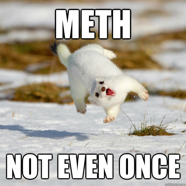 METH Not even once - stoned stoat - quickmeme
