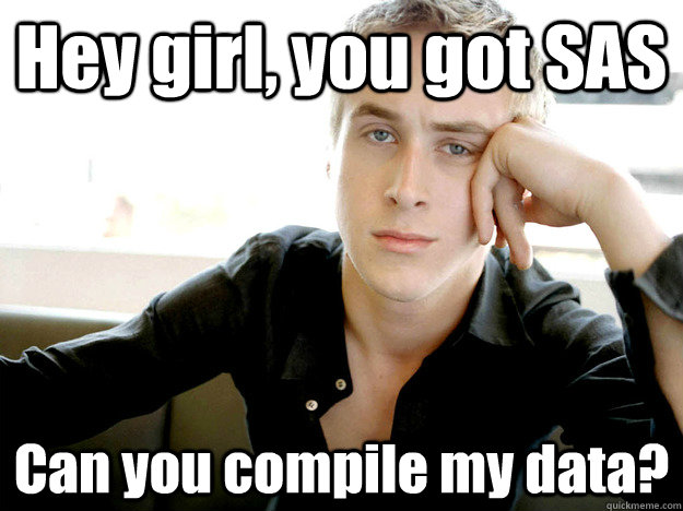 Hey girl, you got SAS Can you compile my data? - policy evaluation ryan gosling - quickmeme