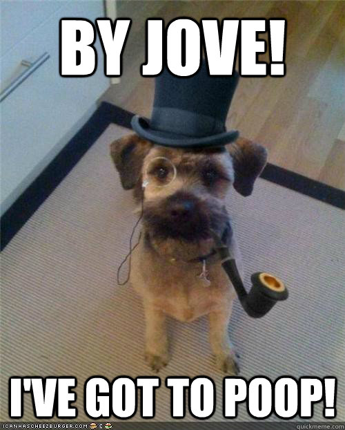 victorian dog memes | quickmeme